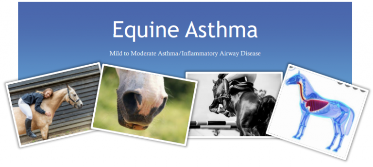 Equine Asthma | Atlantic Equine Services